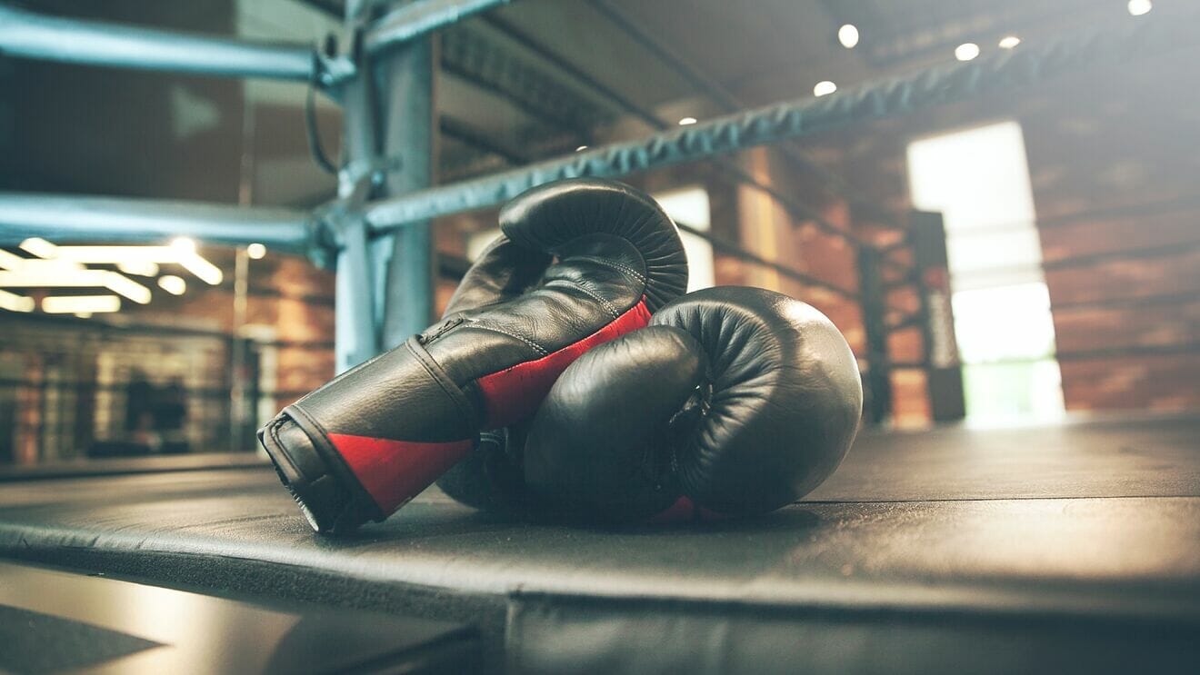Get The Right Boxing Gloves for Your Training - The Sports House